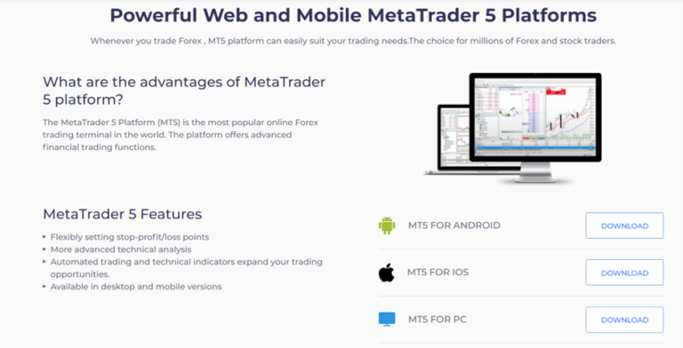 Royal Trading Review (2022) | Trader Magazine